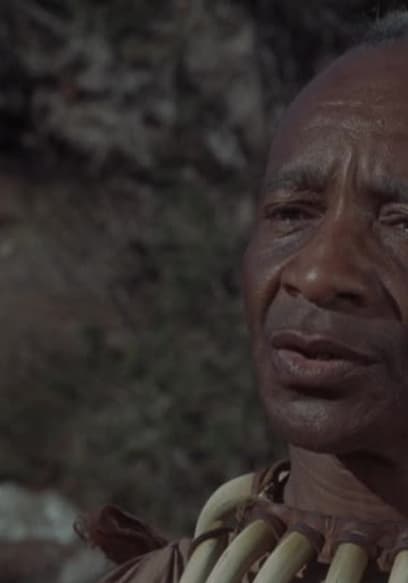 Watch Daktari S02:E04 - Judy's Hour of Peril - Free TV Shows | Tubi