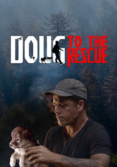 Watch Doug to the Rescue - Free TV Shows | Tubi