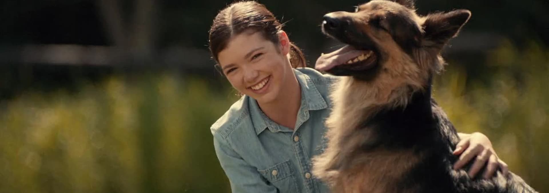 Watch Heartland S09:E03 - Riding for a Fall - Free TV Shows | Tubi