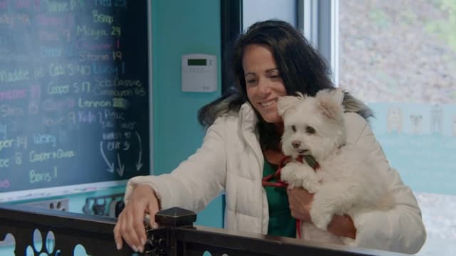 Watch In the Dawg Haus - Free TV Shows | Tubi