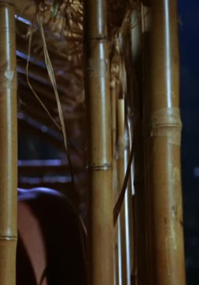 Watch Gilligan's Island S03:E20 - Our Vines Have Tender Apes - Free TV ...