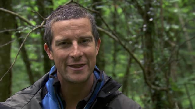 Watch Bear Grylls: Survival School - Free TV Shows | Tubi