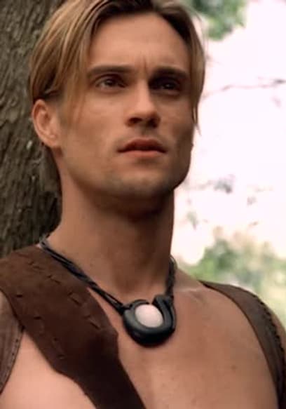 Watch BeastMaster S01:E19 - The Golden Phoenix - Free TV Shows | Tubi