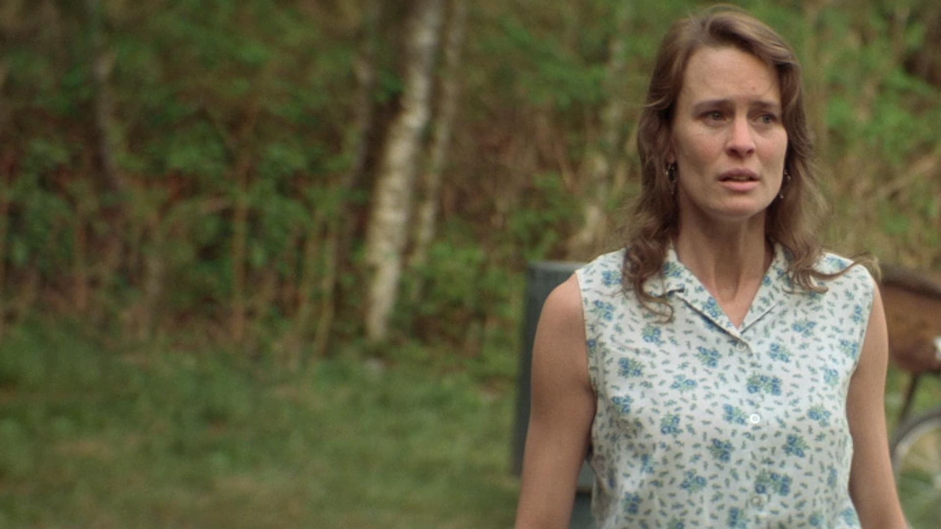 Watch The Pledge (2001) - Free Movies | Tubi