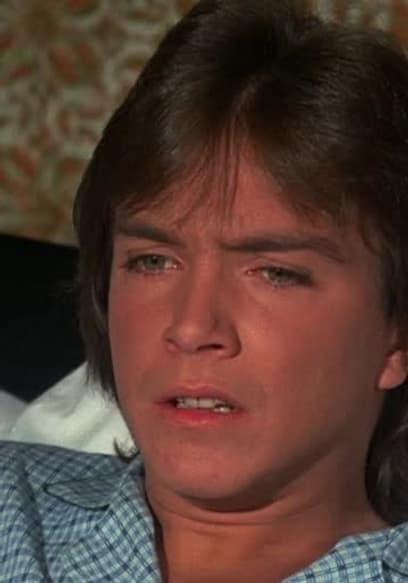 Watch The Partridge Family S03:E17 - I Left My Heart in Cincinnati ...