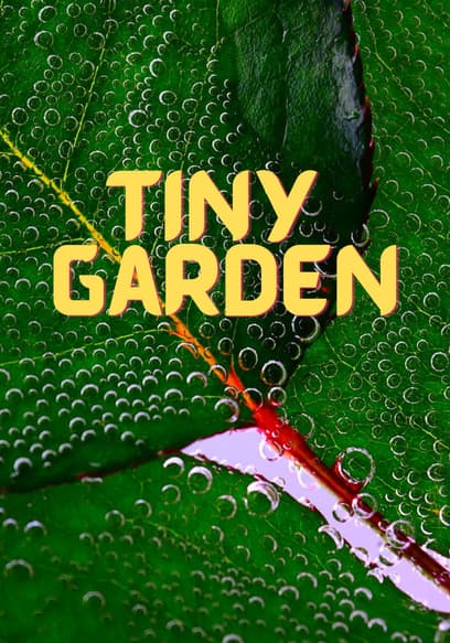 Watch Tiny Garden - Free TV Shows | Tubi