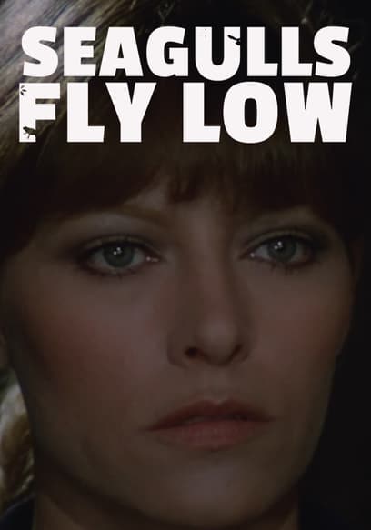 Watch Seagulls Fly Low (1978) - Free Movies | Tubi