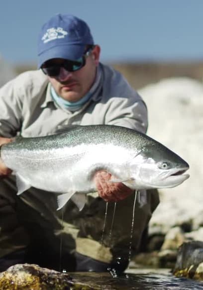 Watch Planet Fly Fish S01:E03 - Leviathan - Free TV Shows | Tubi