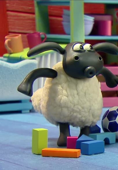 Watch Timmy Time S01:E04 - Episode 4 - Free TV Shows | Tubi