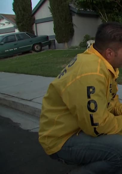 Watch Cops S24 E01 She Came Onto Me Free Tv Shows Tubi