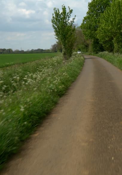 Watch Find It, Fix It, Drive It S01:E09 - MG - Free TV Shows | Tubi