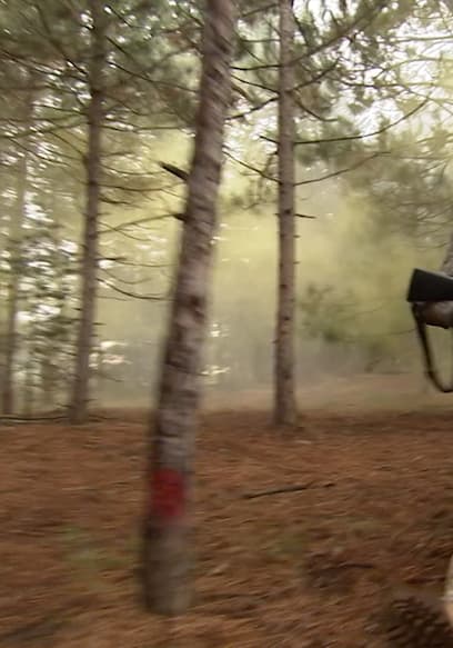 Watch Combat Forces S01:E24 - Combat Trauma Care - Free TV Shows | Tubi