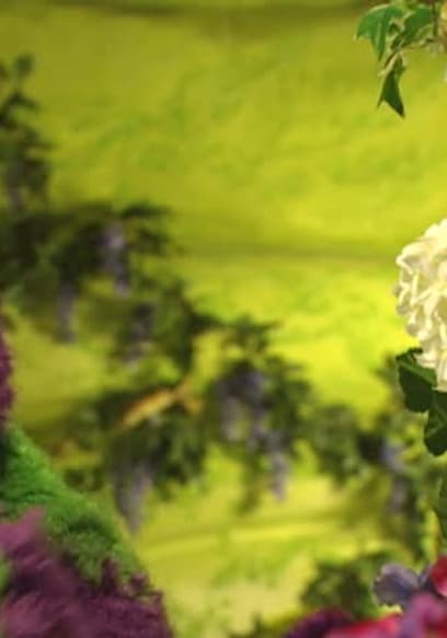 Watch The Roly Mo Show S01:E42 - Peace and Quiet - Free TV Shows | Tubi