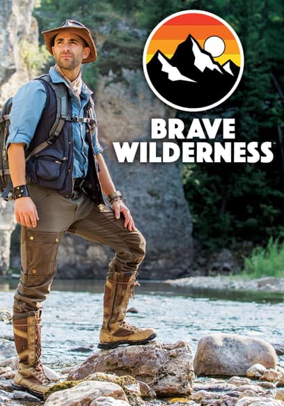 Watch Brave Wilderness - Free TV Shows | Tubi