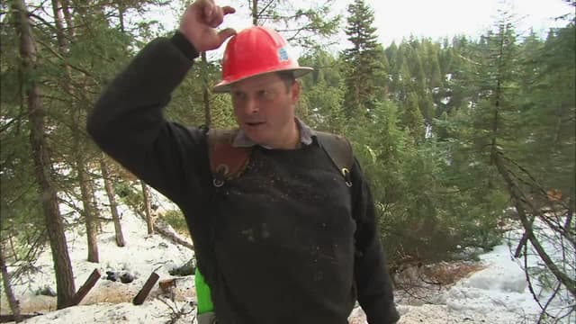 Watch Risk Takers S02:E09 - Loggers - Free TV Shows | Tubi