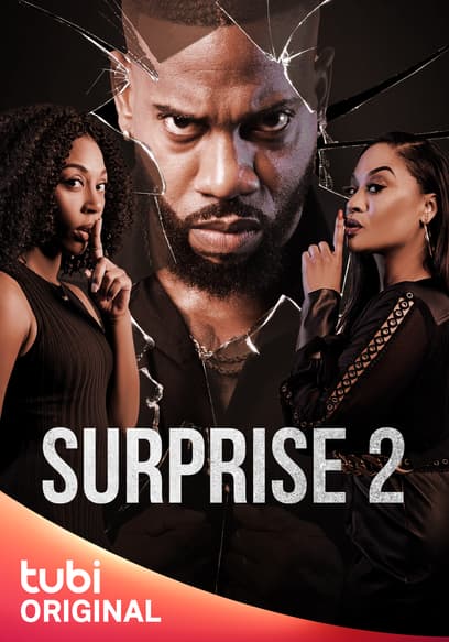 Watch Surprise 2 (2023) - Free Movies | Tubi