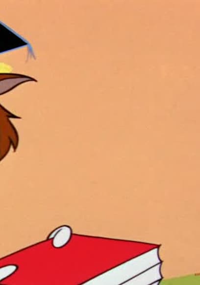 Watch Tom and Jerry Theatricals S01:E03 - Bird Brain Bird Dog ...