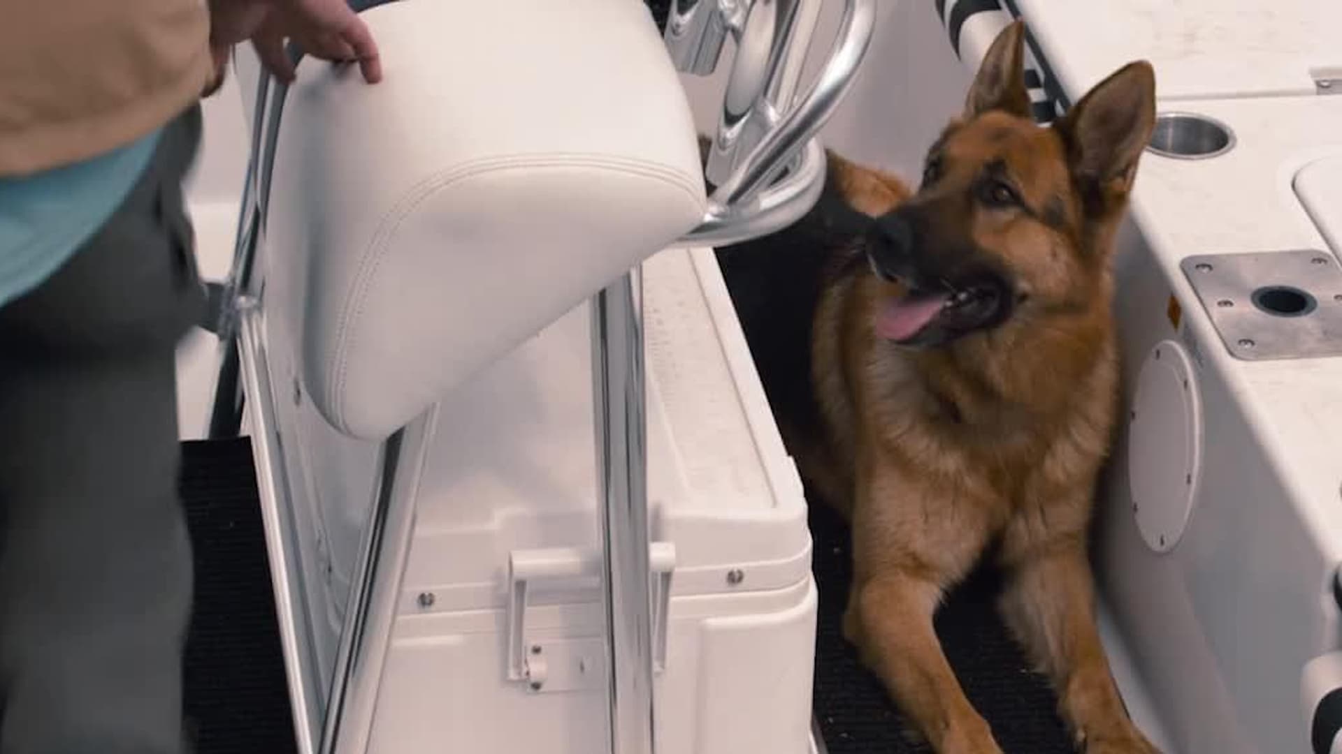 Watch Perro Genial (Doblado) (2010) - Free Movies | Tubi