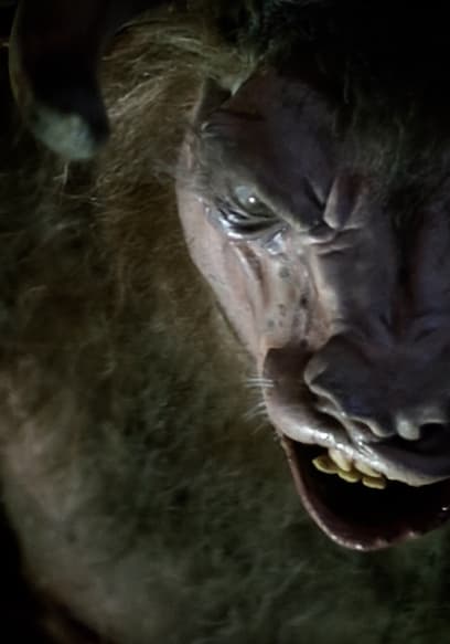 Watch The Storyteller: Greek Myths S01:E04 - The Storyteller: Greek ...