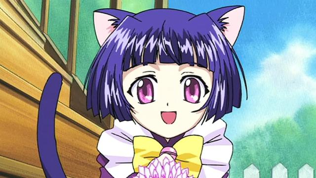 Watch Magical Meow Meow TARUTO (Dubbed) - Free TV Shows | Tubi