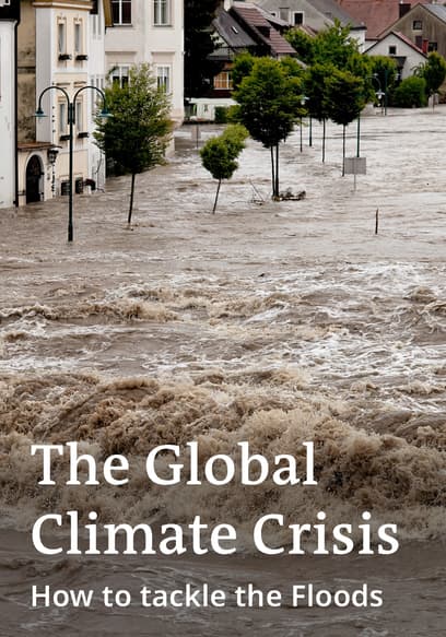 Watch The Global Climate Crisis: How to Tackle the Flo - Free Movies | Tubi Watch The Global Climate Crisis: How to Tackle the Flo - Free Movies | Tubi