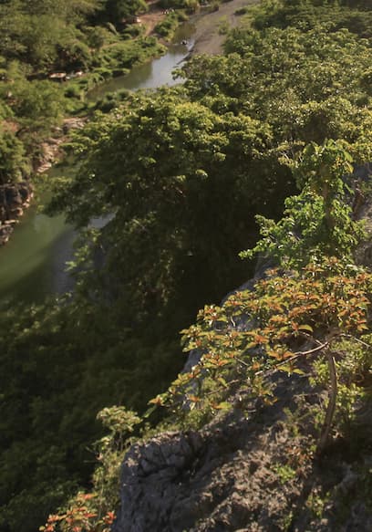 Watch Special Forces S01:E05 - Philippines Scout Rangers - Free TV ...