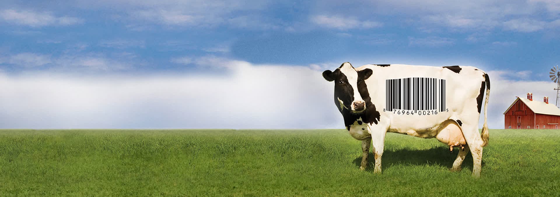 Watch Food, Inc. (2008) - Free Movies | Tubi