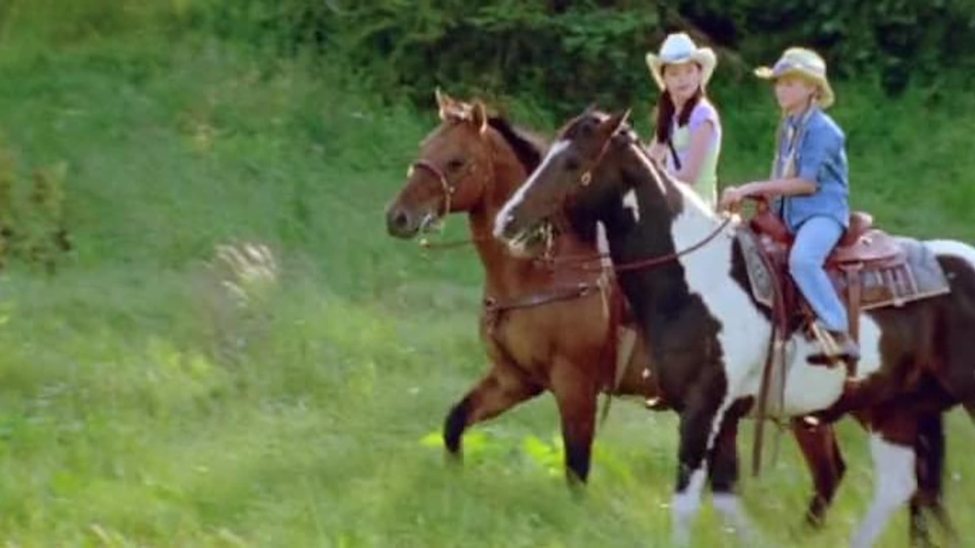 Watch The Wild Stallion (2018) - Free Movies | Tubi