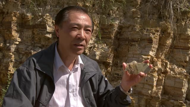 Watch Leaps in Evolution - Free TV Shows | Tubi