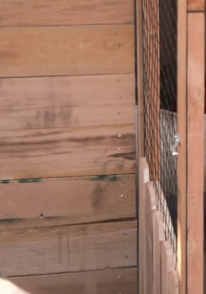 Watch Animal Cribs S02:E05 - Pygmy Goat Playground - Free TV Shows | Tubi