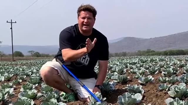 Watch Dingo Untamed S01:E04 - Black Mamba in a Couch - Free TV Shows | Tubi