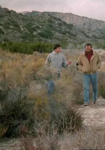 Watch Starman: The Series S01:E21 - Starscape (Pt. 2 - Free TV Shows | Tubi