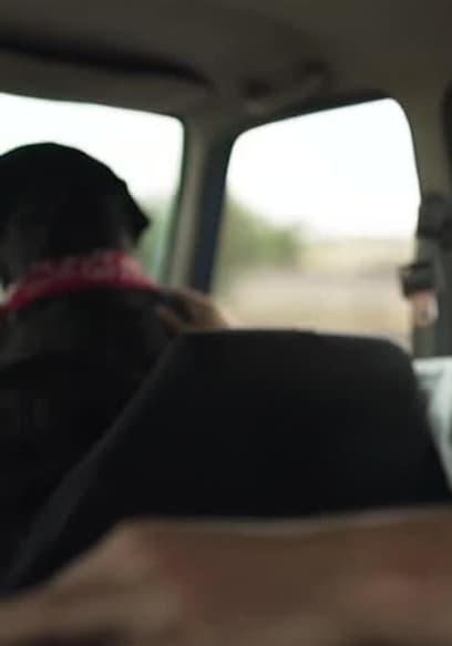 Watch DittyTV's Rhythm Roots S02:E06 - DittyTV's Rhythm Roots Featuring John Paul White, Margo ...