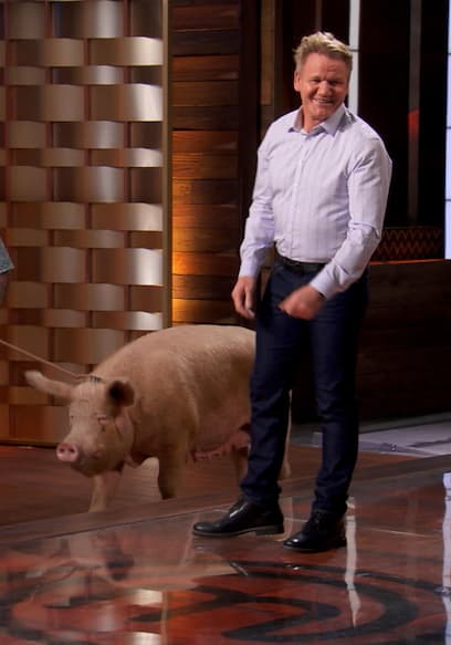 Watch MasterChef S10:E19 - Pigging Out - Free TV Shows | Tubi