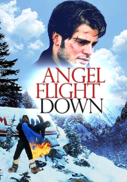 Watch Angel Flight Down (1996) - Free Movies | Tubi