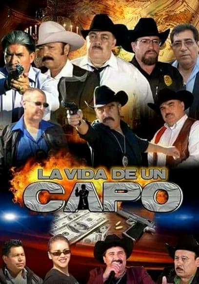 Watch La Vida De Un Capo (2013) - Free Movies | Tubi