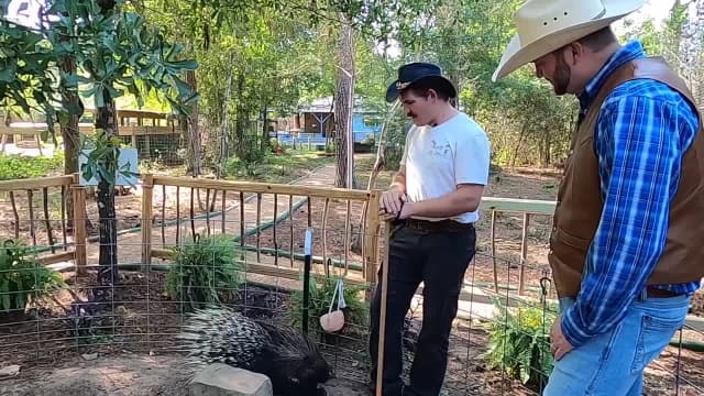 Watch Amazing Animals with Cowboy Jack S01:E02 - All Types of Animals ...