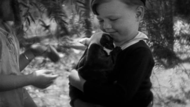 Watch The Little Rascals S01:E20 - Big Ears - Free TV Shows | Tubi