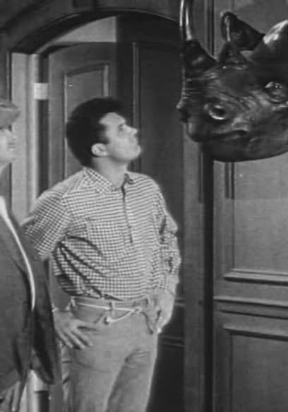 Watch The Beverly Hillbillies S01:E48 - Turkey Day - Free TV Shows | Tubi
