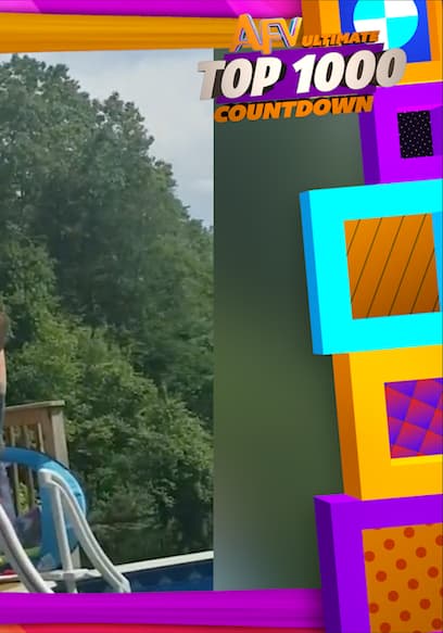 Watch AFV's Ultimate Top 1000 S01:E05 - Dog Park - Free TV Shows | Tubi