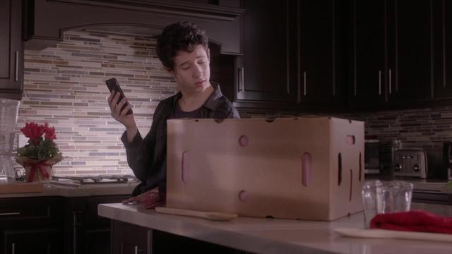 Watch Raising Expectations S01:E08 - Lobstero - Free TV Shows | Tubi