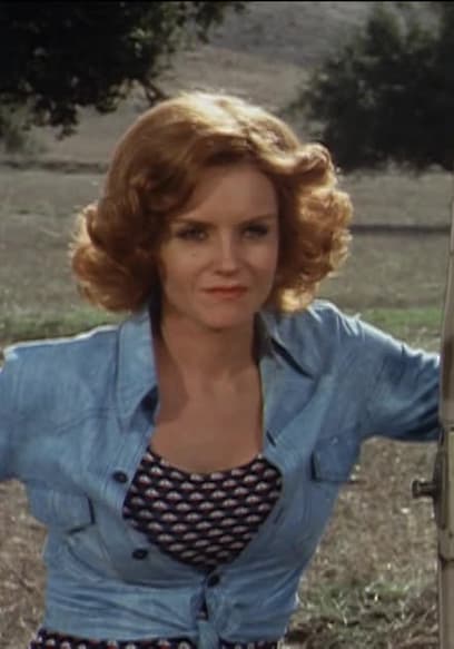 Watch The FBI S09:E17 - The $2,000,000 Hit - Free TV Shows | Tubi