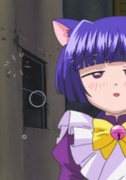 Watch Magical Meow Meow TARUTO (Dubbed) S01:E04 - Fight! Fight! - Free ...