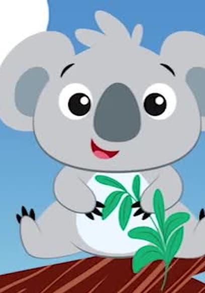 Watch Baby Einstein: New Classics S01:E01 - Baby Einstein: Animal ...