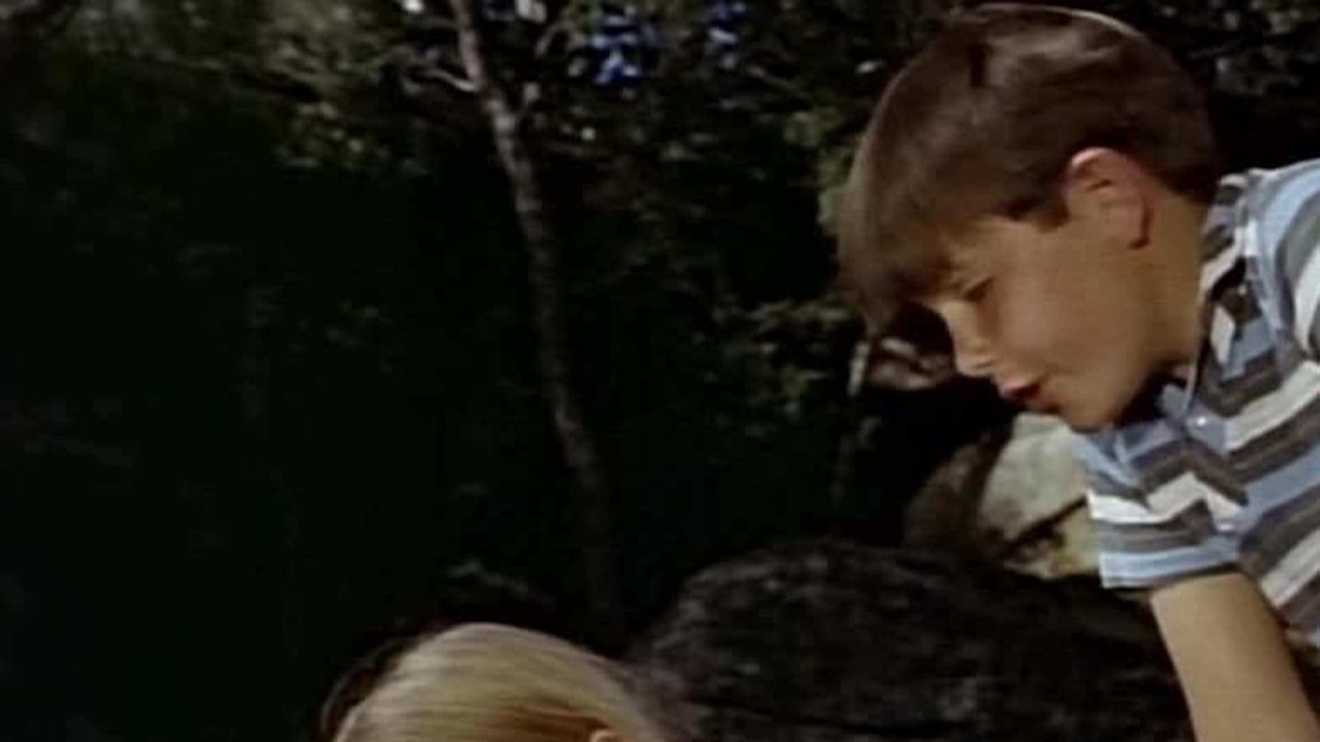 Watch Skippy - Free TV Shows | Tubi