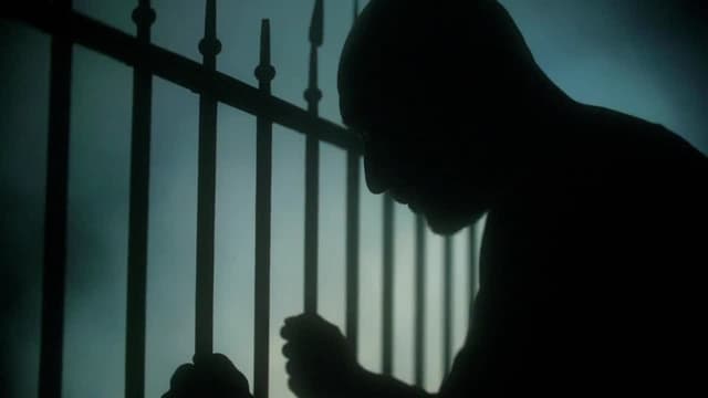 Watch Mysteries at the Museum S16:E10 - Vampires - Free TV Shows | Tubi