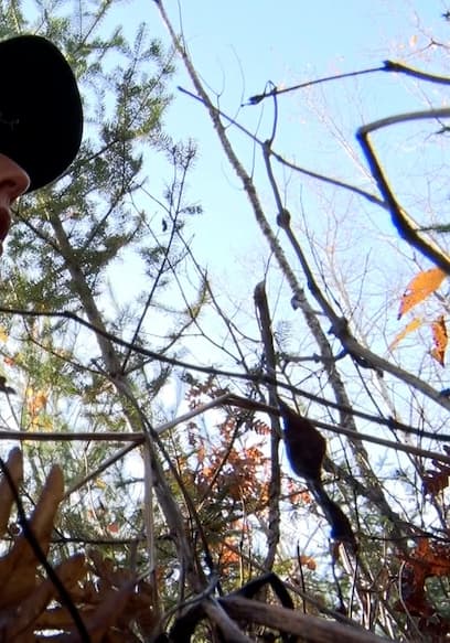 Watch Wardens S01:E05 - Cascade - Free TV Shows | Tubi