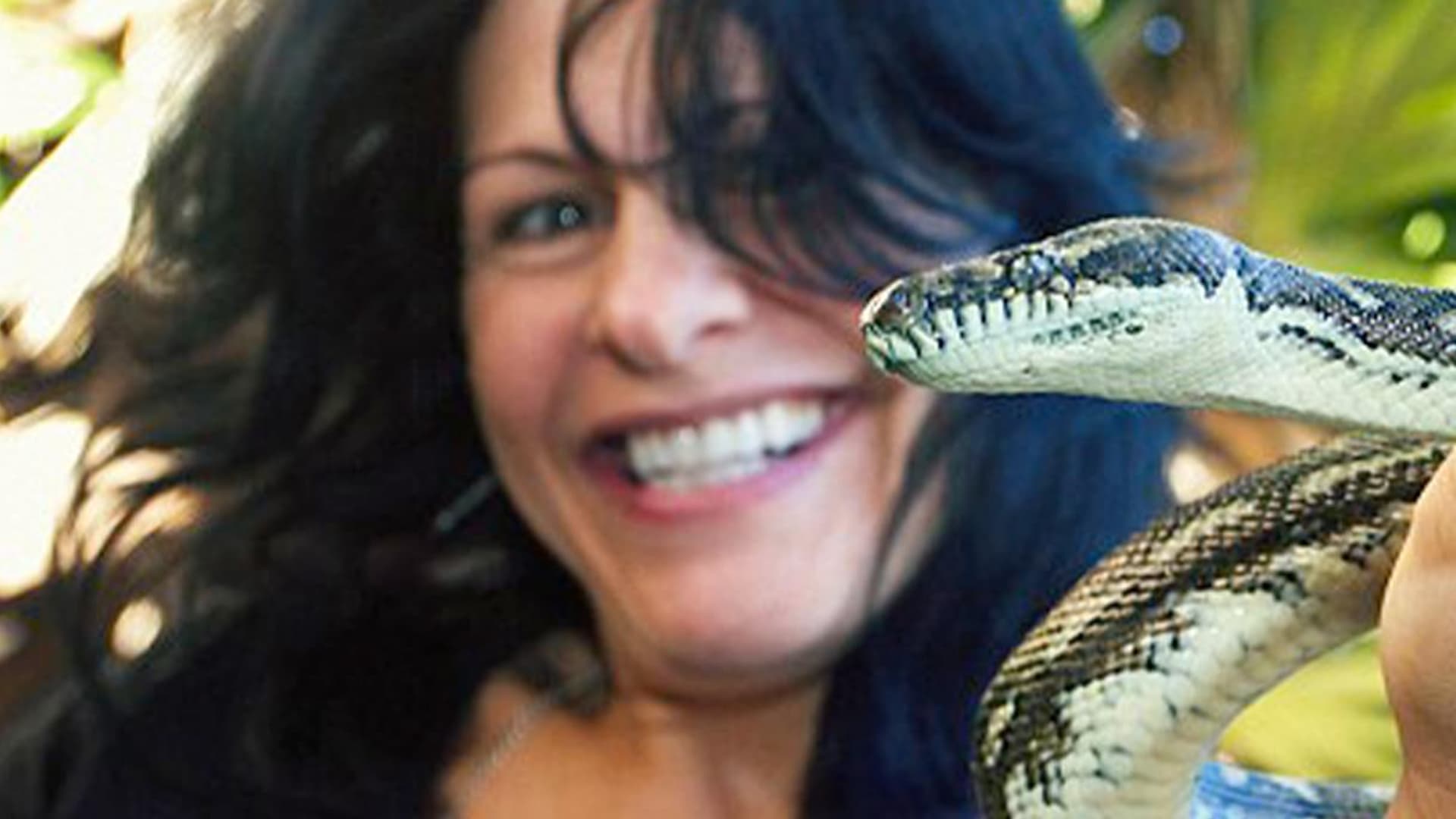 Watch Snake Boss - Free TV Shows | Tubi