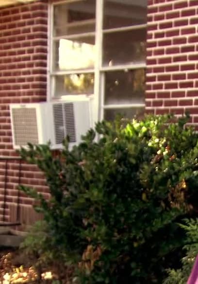 Watch Surviving Evil S01:E06 - Wolves at the Door - Free TV Shows | Tubi