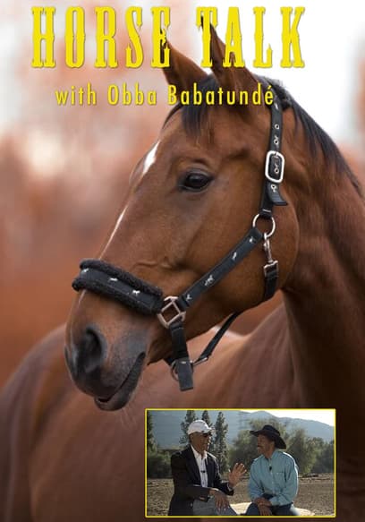 Watch Horse Talk S01:E01 - Morgan Freeman - Free TV Shows | Tubi